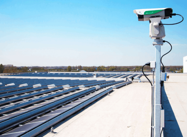 Effective solar panel bird proofing with automated bird laser